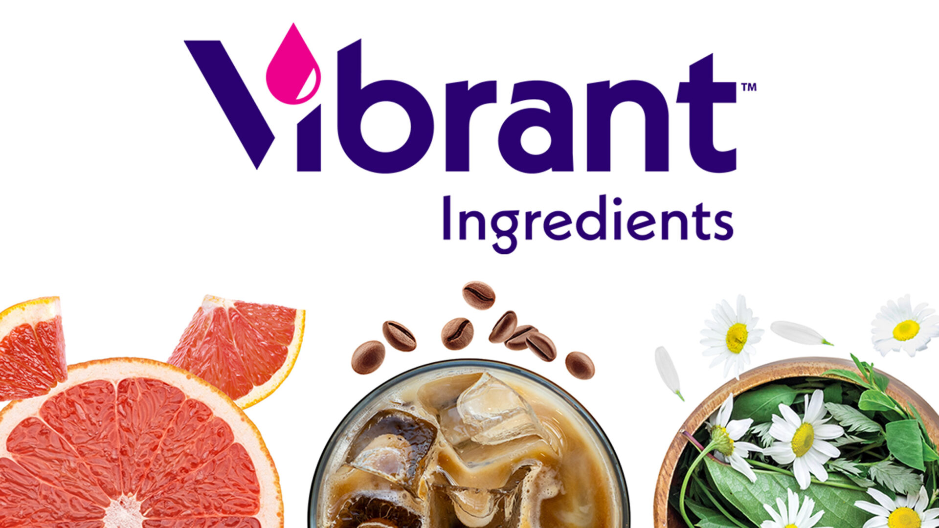 Contact - Vibrant Ingredients